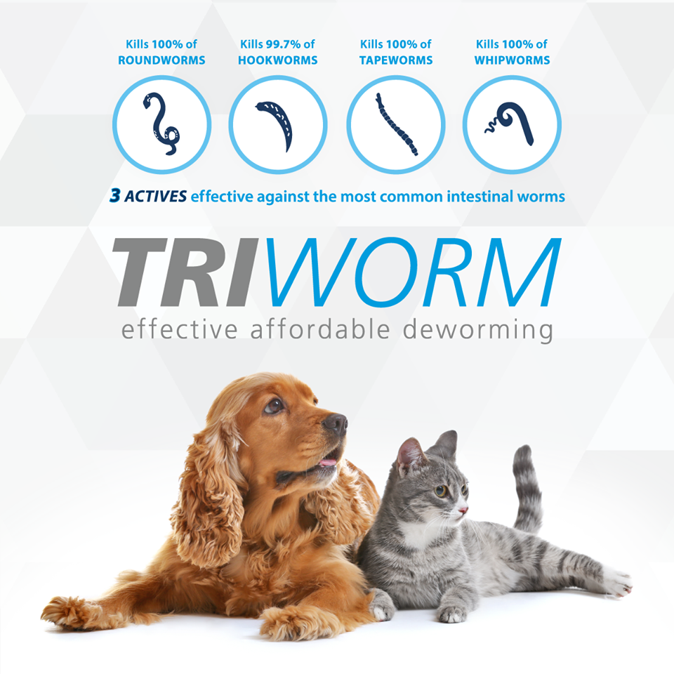 Triworm-D for Large Dogs – Across the Breeds