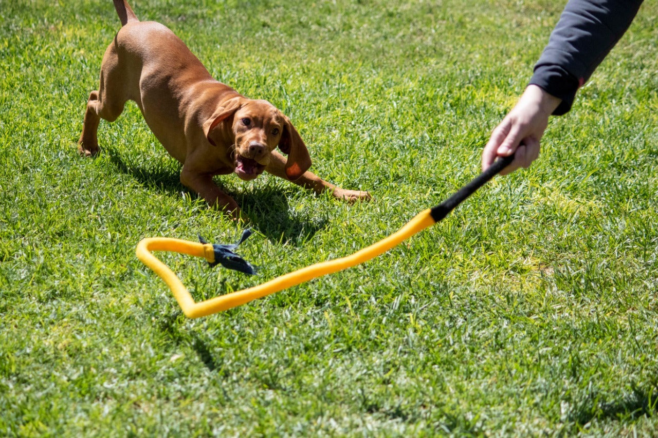 aCtB Dog Dangler – Across the Breeds